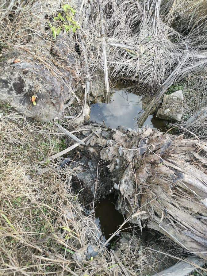Various Scene of the Reflective Surface Puddle or Rural Drain at the ...