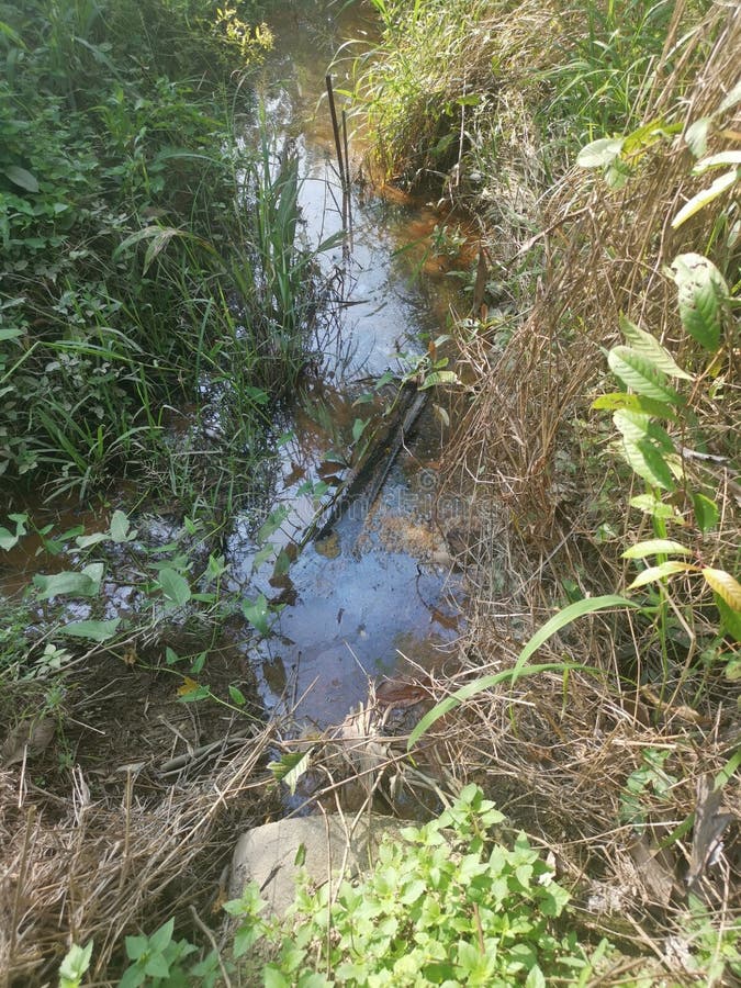 Various Scene of the Reflective Surface Puddle or Rural Drain at the ...