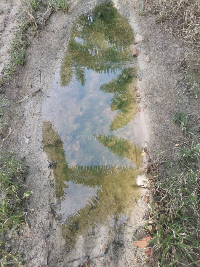 Various Scene of the Reflective Surface Puddle or Rural Drain at the ...