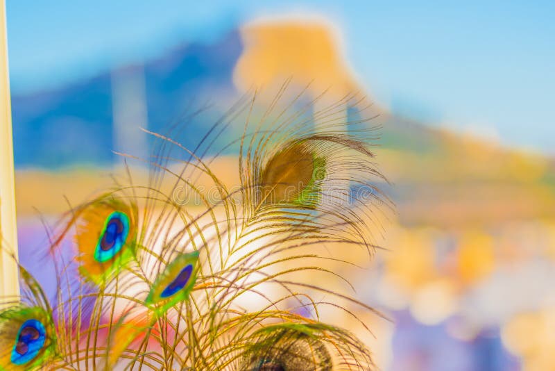 Intertwined Feathers Stock Photos - Free & Royalty-Free Stock Photos ...