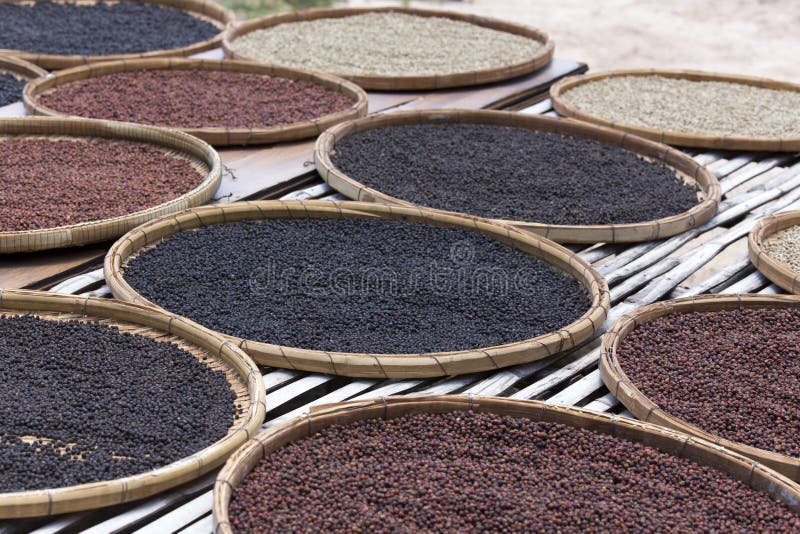 Various Kampot pepper stock photo. Image of field, focus - 61533722