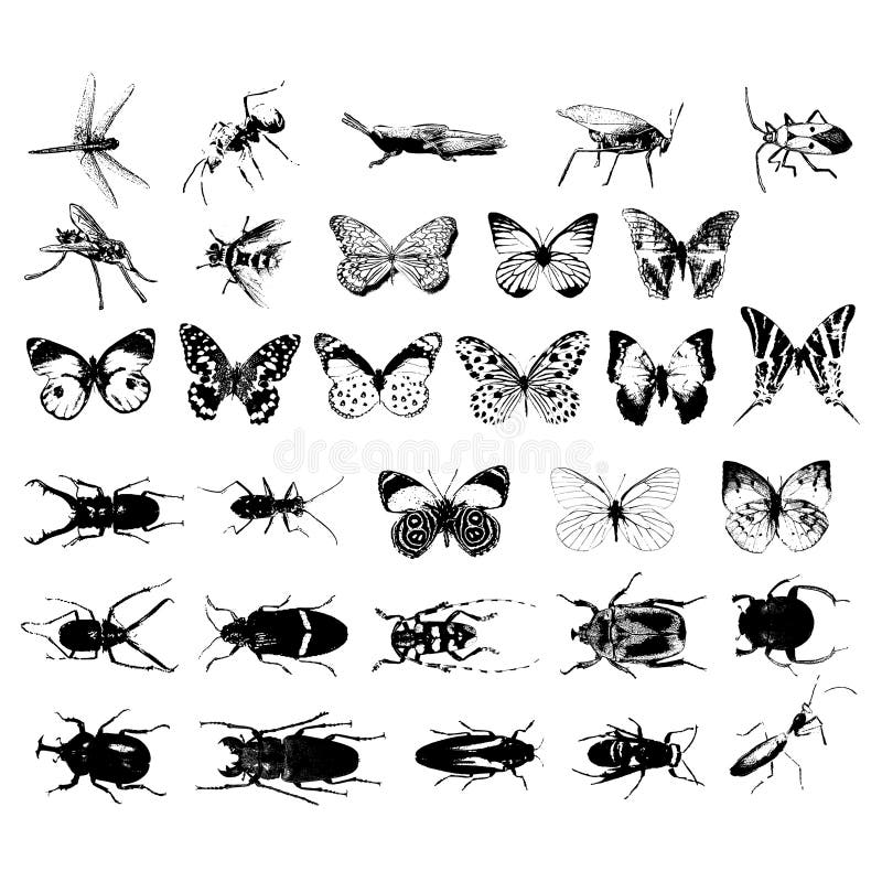 Set of Square Icons - Half Tone - Blank Stock Vector - Illustration of ...