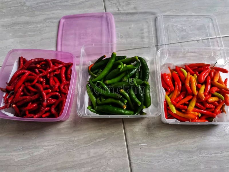 Various Kinds of Chili Stored in Plastic Box Stock Image - Image of ...