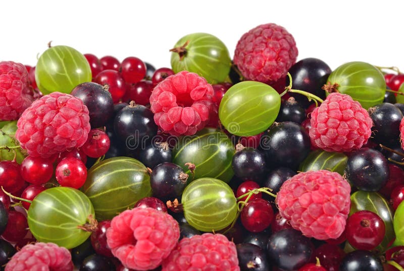 Various Kinds Fresh Berries Close Up White Stock Photos - Free ...