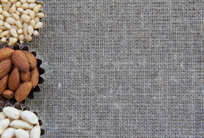Various Kinds of Nuts on Fabric Texture Stock Image - Image of body ...