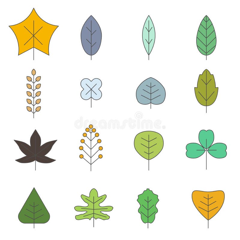 Various Leaf Shape Vector Illustration Flat Design Stock Vector ...