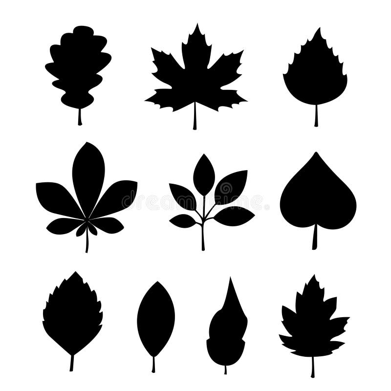 Various Autumn Leaf Silhouettes Stock Illustrations – 304 Various ...