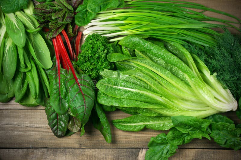 Leafy vegetables stock photo. Image of shang, vegetables - 35710882