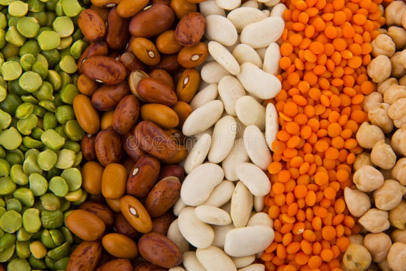 Various legumes stock image. Image of pinto, sorted, legumes - 17030265
