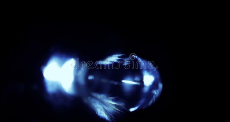 Light Leaks Element 169 stock footage. Video of flare - 270479938