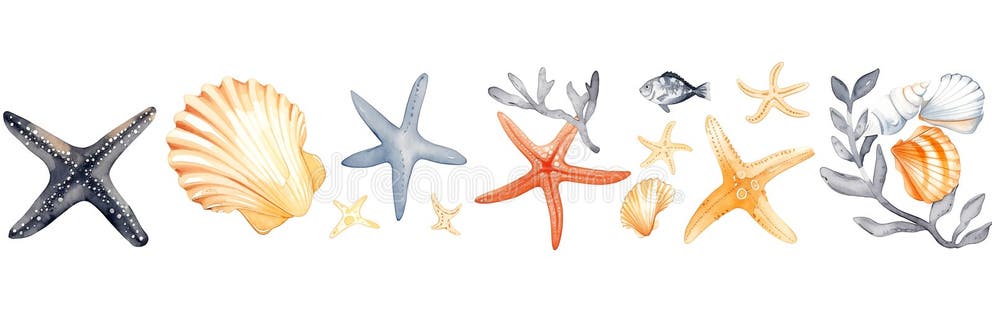 Various Marine Life Elements, Starfish and Shells Banner. Panoramic Web ...