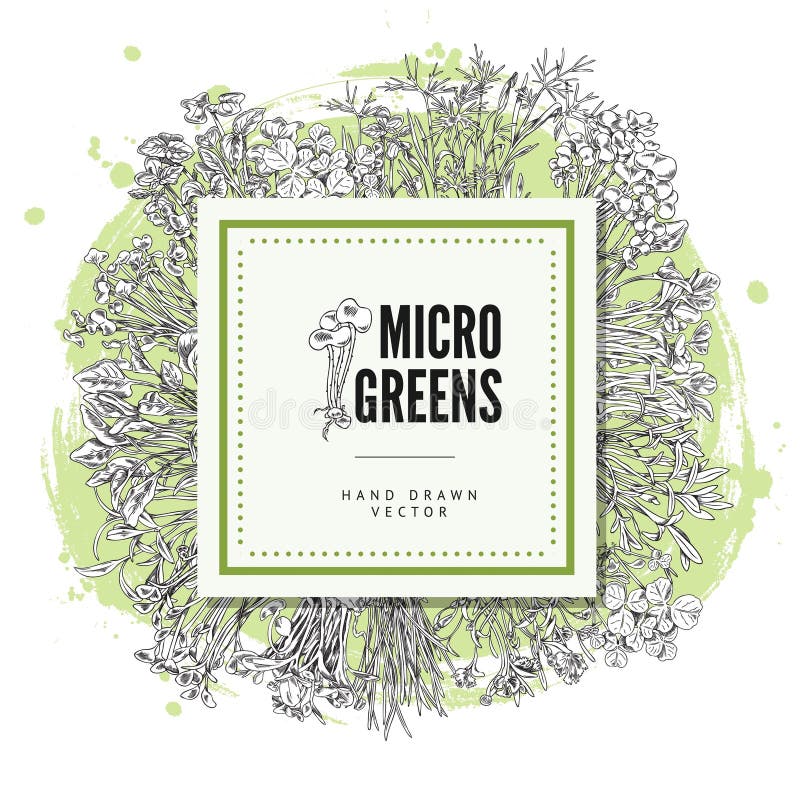Microgreens Logo Stock Photos - Free & Royalty-Free Stock Photos from ...