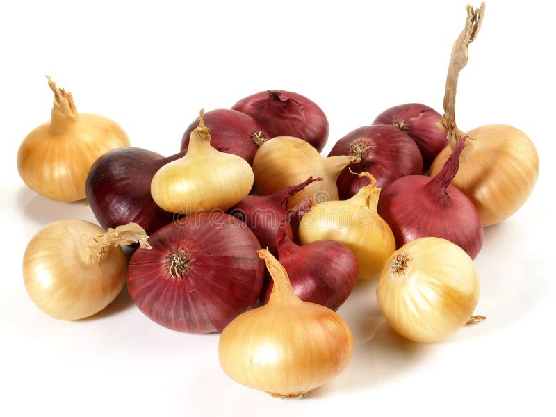 Various Mini Onions on White Background - Isolated Stock Image - Image ...