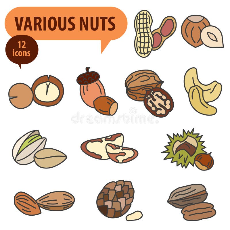 Various Nuts. Collection of Different Nuts Vector Flat Illustration ...