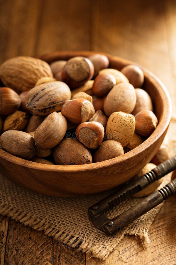 Various nuts in shell stock photo. Image of nuts, chestnut - 83726004