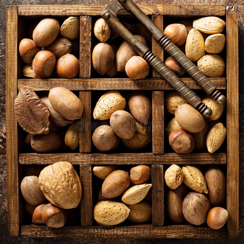 Various nuts in shell stock photo. Image of nature, pecan - 85513612