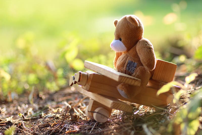 Alone toy on the ground stock photo. Image of alone - 100461876