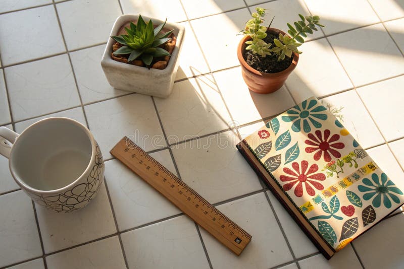 Various Objects on White Tile with Warm Sunlight Stock Illustration ...