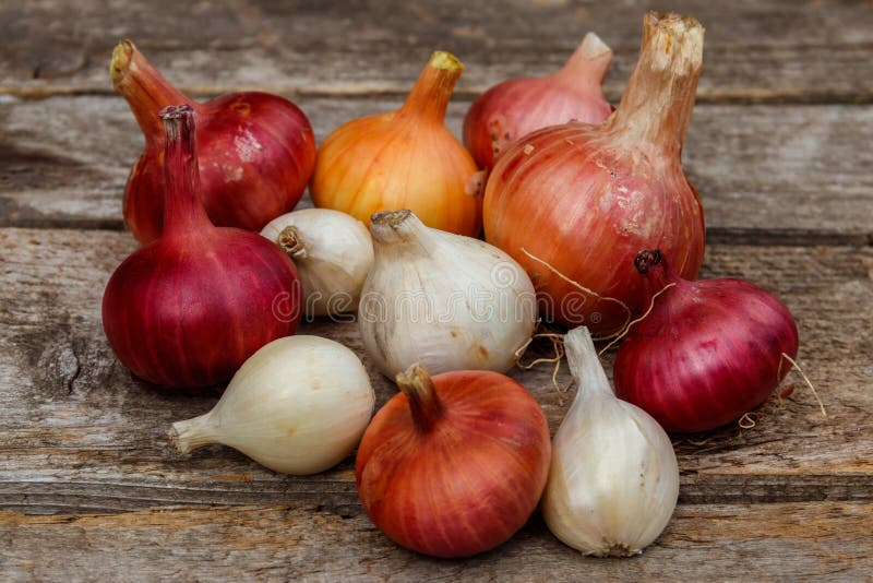 Various Onion on Rustic Wooden Table Stock Image - Image of onion, bulb ...