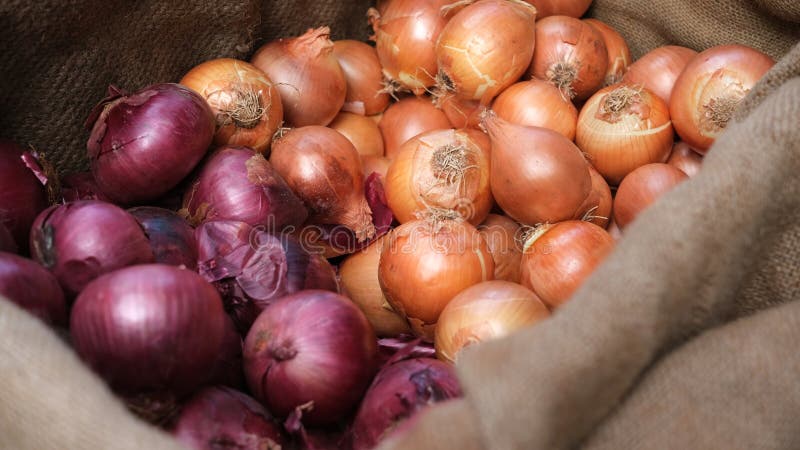 2 Various of Onions in a Box. Stock Photo - Image of collection, onions ...