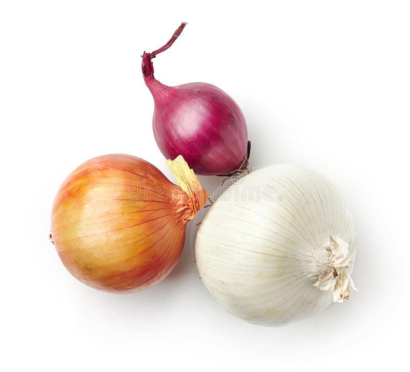 Various Onions on White Background Stock Photo - Image of group, ripe ...