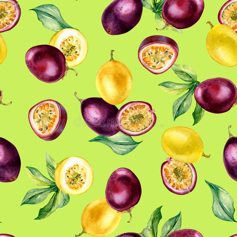 Whole And Half Passion Fruits Maracuja With Green Leaf Watercolor Hand