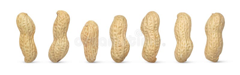 Various Peanut Nuts Set Isolated Different Peanuts Collection Stock ...