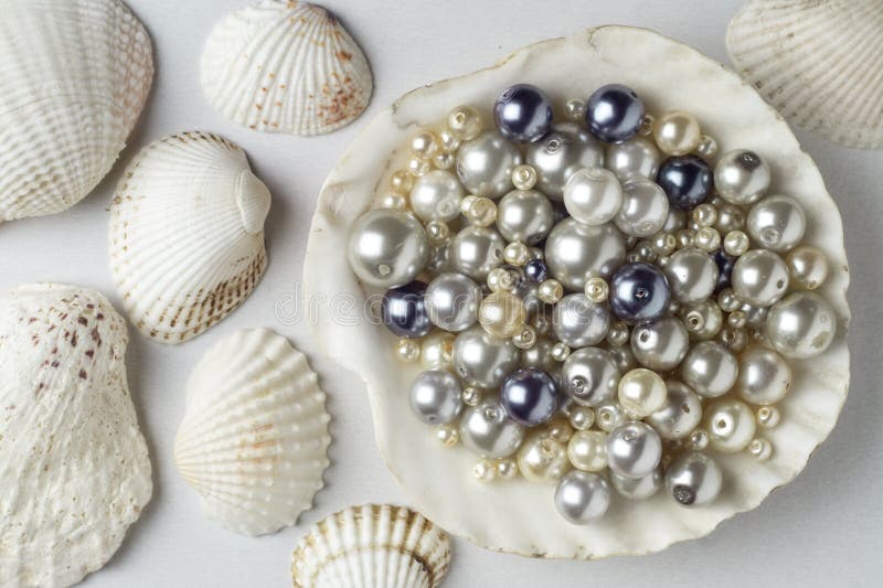Various Pearl Beads in a Large Shell Stock Photo - Image of beads ...