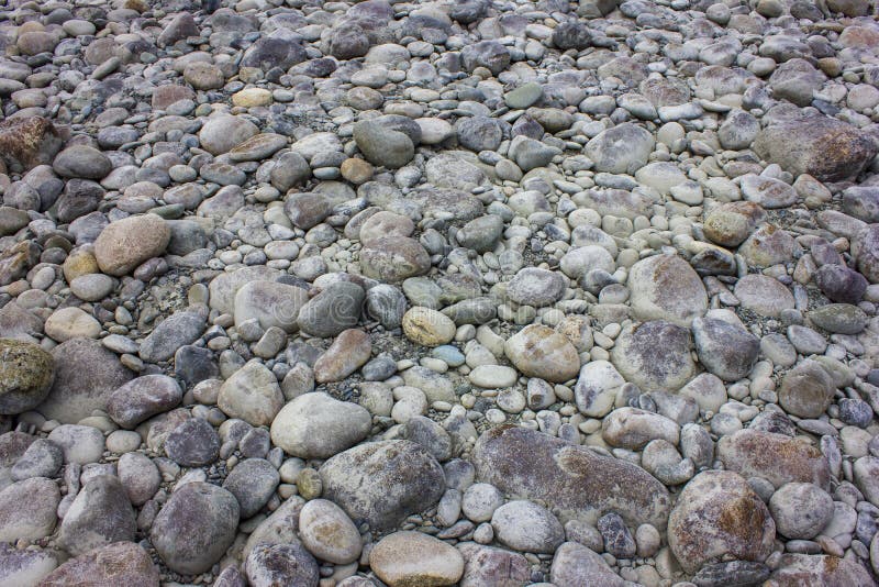 Various Pebble Beach Stones. Texture of Stones Stock Photo - Image of ...