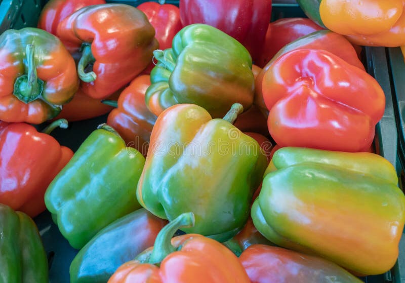 Various peppers in a box stock image. Image of fresh - 263595629