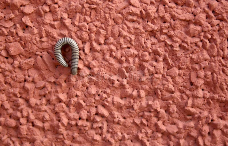 WORM OVER the RED WALL 3 stock image. Image of rock - 156711687