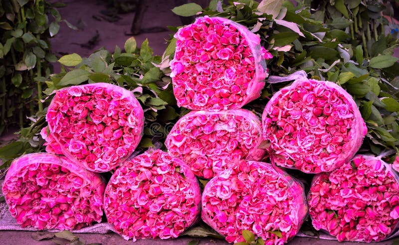 Various Pink Rose Flower in Flower Shop Stock Photo - Image of ...