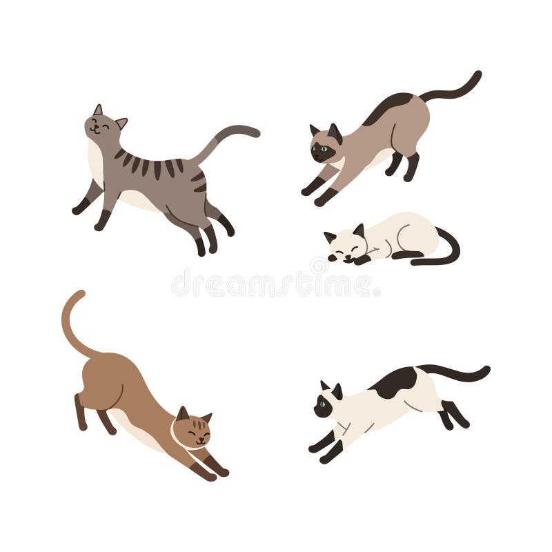Various Playful and Resting Domestic Cats in Flat Style with Diverse ...