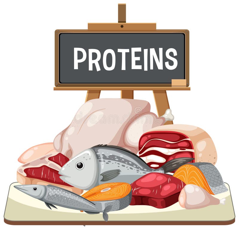 Various Protein-rich Foods on a Plate Stock Vector - Illustration of ...