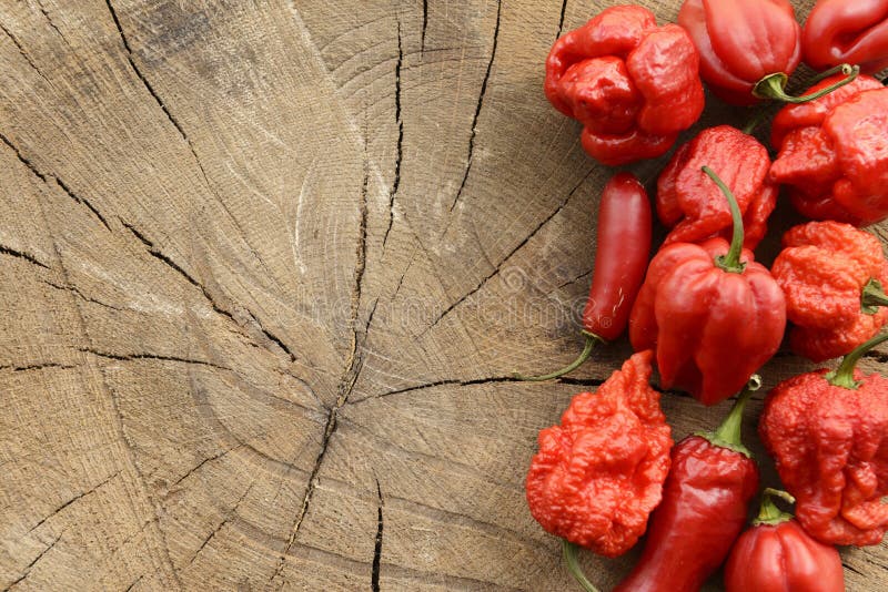 Various red hot peppers stock image. Image of moruga - 59880743
