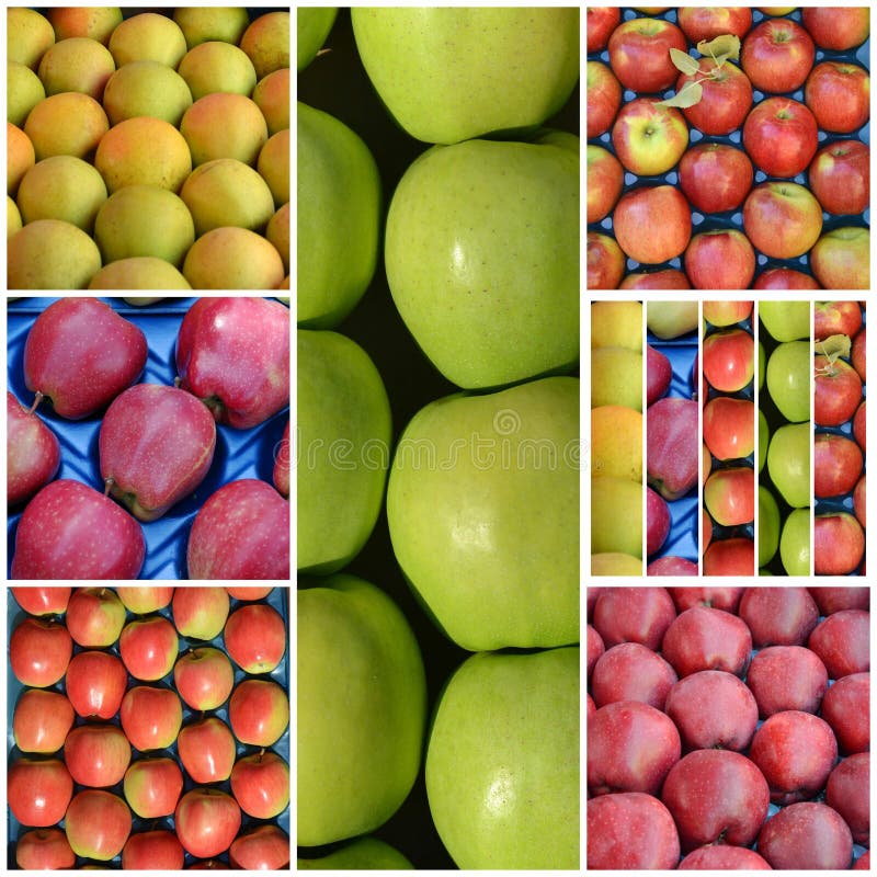 Apples collage stock photo. Image of lawn, leaf, apples - 21839946