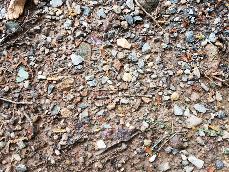 Various Rocks and Sticks in the Mud Stock Photo - Image of sticks, dirt ...