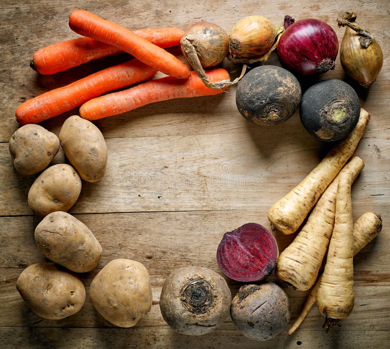 Various root vegetables stock image. Image of vegetables - 65815675