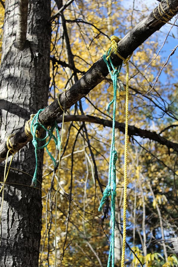 Poles And Ropes Lining A Wooden Boardwalk Stock Photo - Image of planks ...