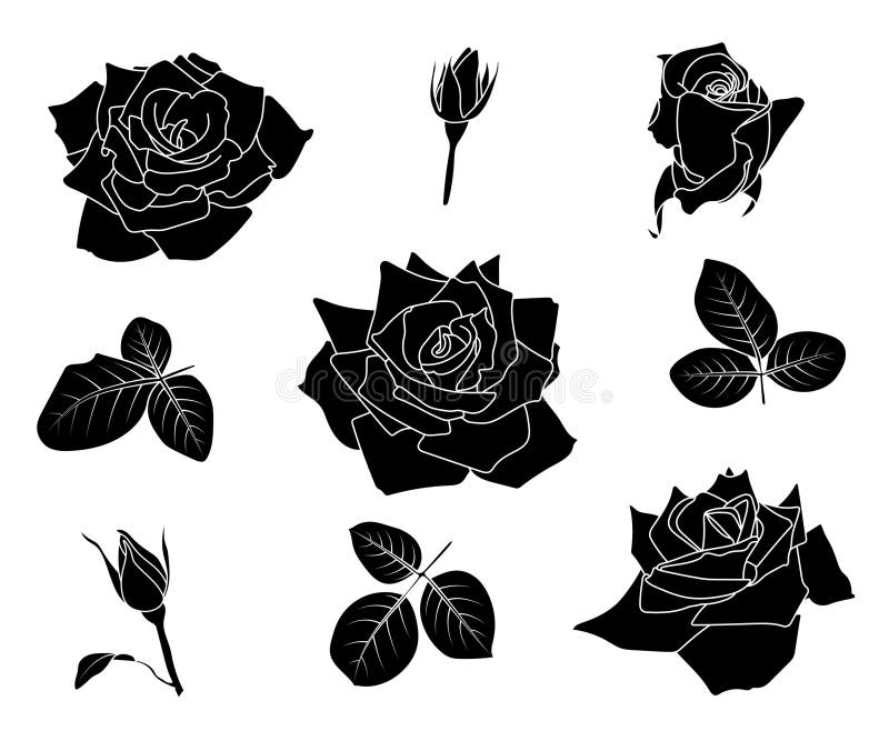Various Rose Silhouette Shapes Set Stock Vector - Illustration of ...