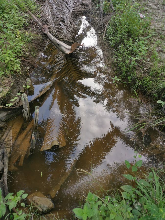Various Scene of the Reflective Surface Puddle or Rural Drain at the ...