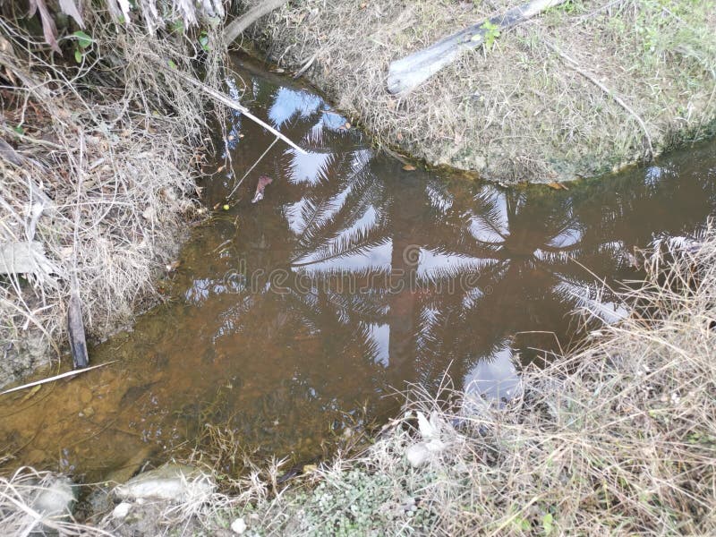 Various Scene of the Reflective Surface Puddle or Rural Drain at the ...