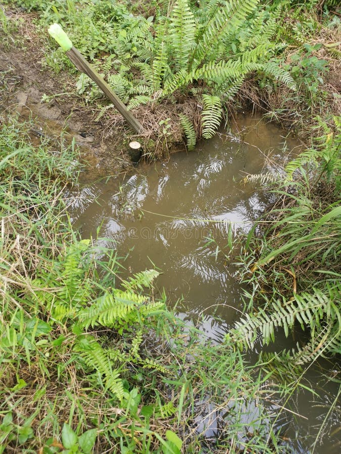 Various Scene of the Reflective Surface Puddle or Rural Drain at the ...