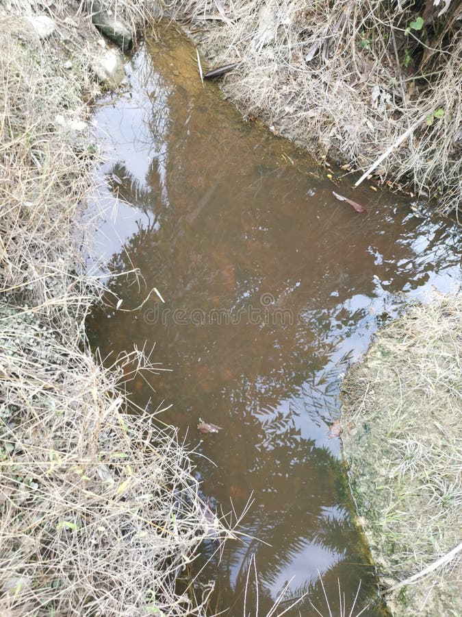 Various Scene of the Reflective Surface Puddle or Rural Drain at the ...