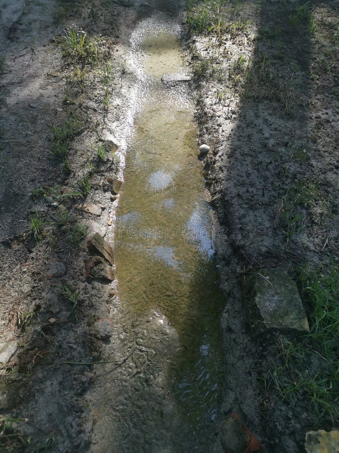 Various Scene of the Reflective Surface Puddle or Rural Drain at the ...