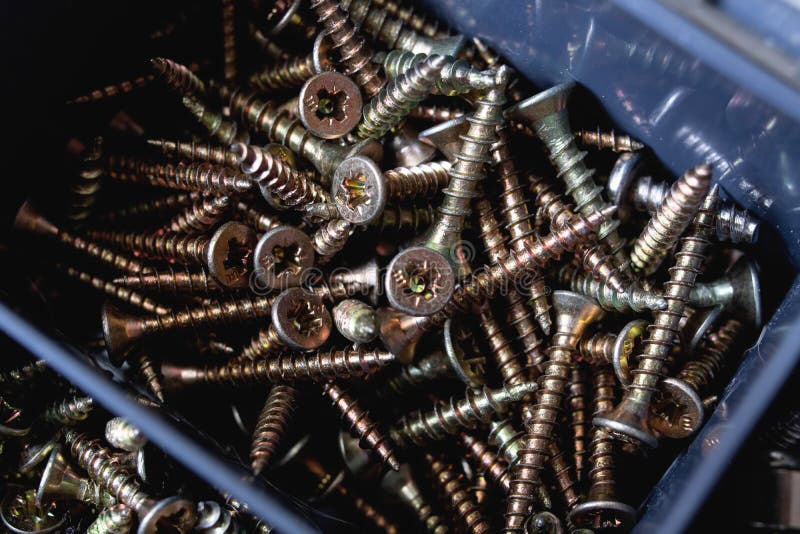 Various Screws in Plastic Box Close Up Stock Image - Image of ...