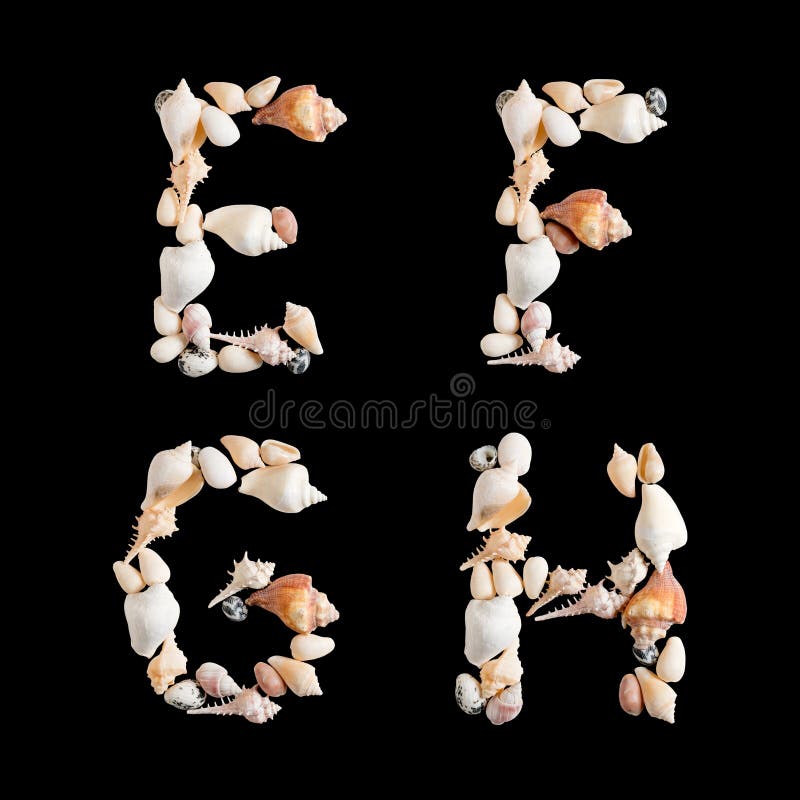 Letter E Shells Stock Photos - Free & Royalty-Free Stock Photos from ...