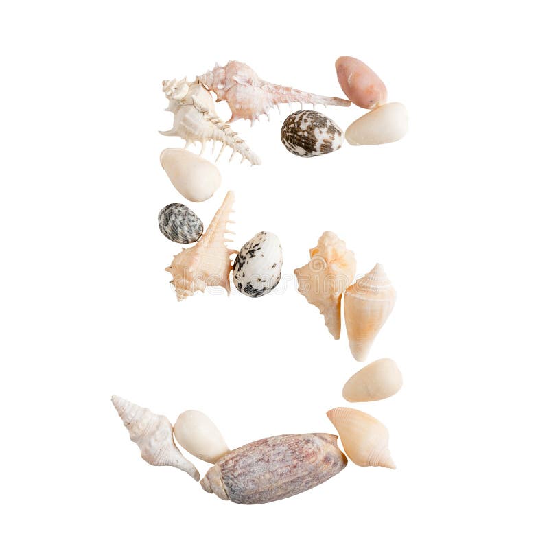 Various Sea Shells Number 8 on White Background Stock Image - Image of ...