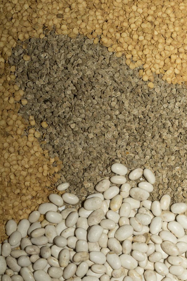 Various seed pattern stock image. Image of healthy, nature - 74673191