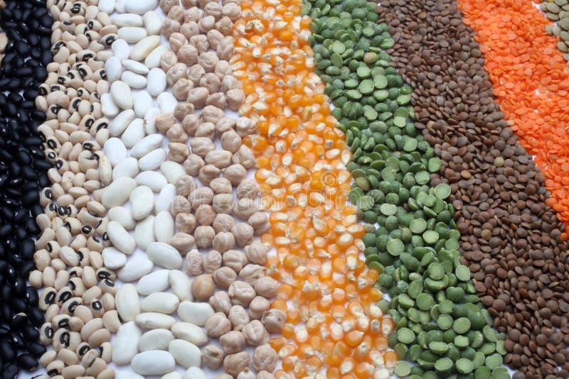 Various seeds and grains stock photo. Image of grain - 19033064